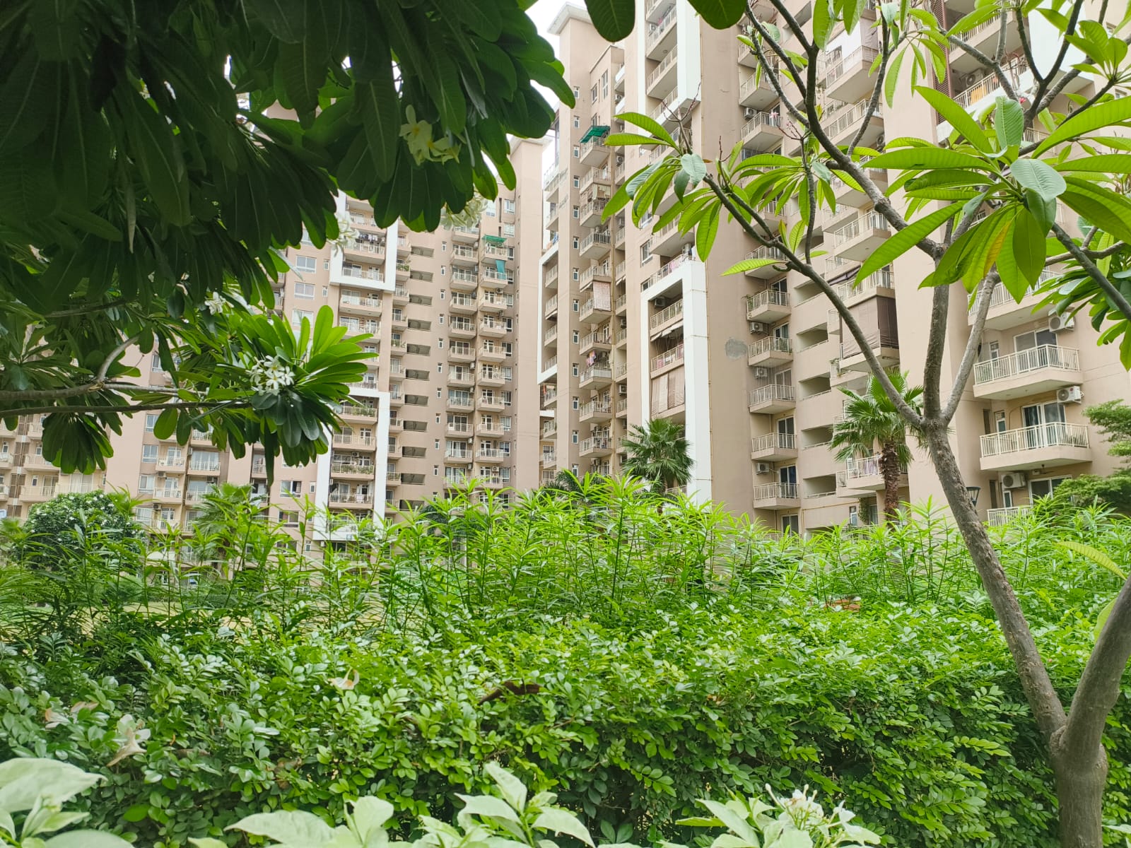 For Sale – 1850 Sq Ft 3 BHK + Family Lounge + SQ | Emaar Palm Garden ...